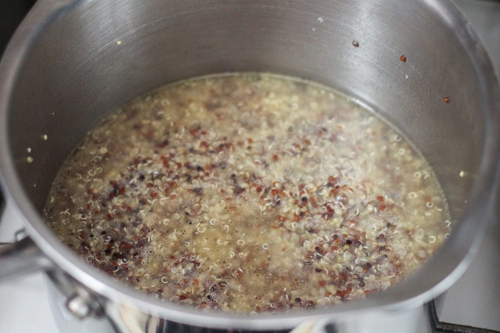 How To Cook Quinoa - Maya Kitchenette